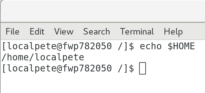 Q100679 How To Get Environment Variable Values Foundry