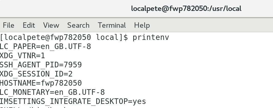 Q100017: 환경 변수를 나열하는 방법 – Foundry